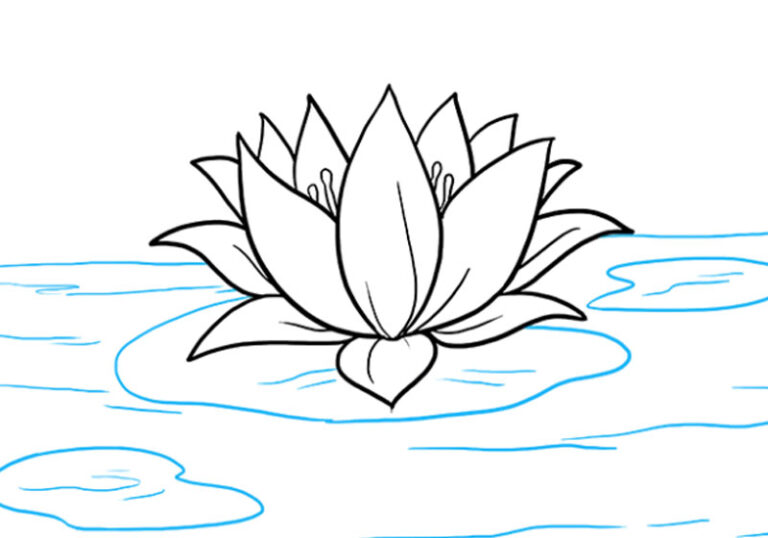 Cách vẽ hoa sen đẹp nhất với các bước đơn giản