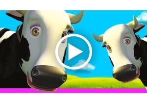 10 bài hát về con bò hay dành cho thiếu nhi - POPS Kids Blog